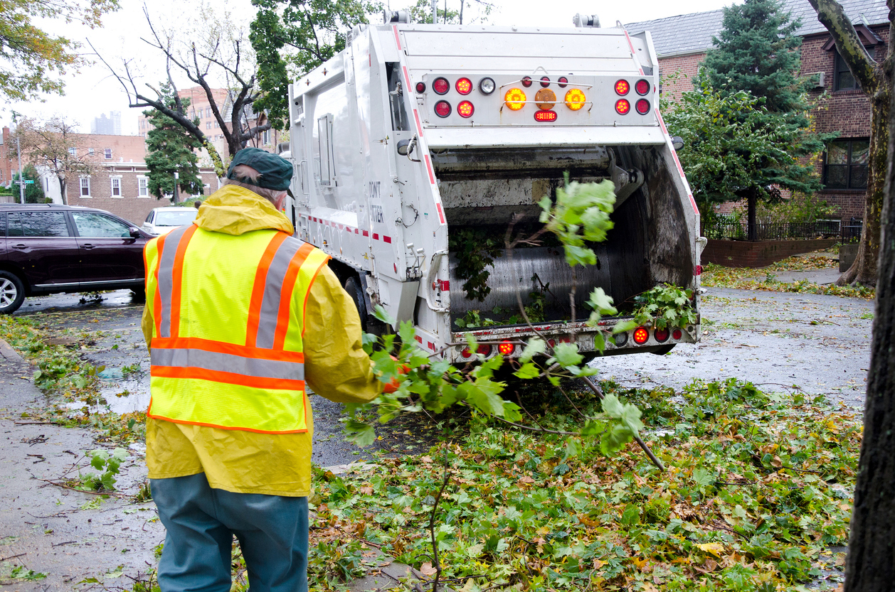Storm Damage Cleanup | S.A.B. Tree Experts | Sprague CT